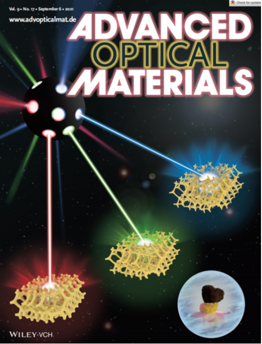 我校化材学院胡悦副教授团队在国际著名期刊《Advanced Optical Materials》发表封面文章-温州大学